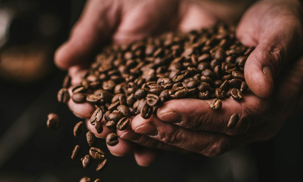 Neighbourhood Blend - Exe Coffee Roasters